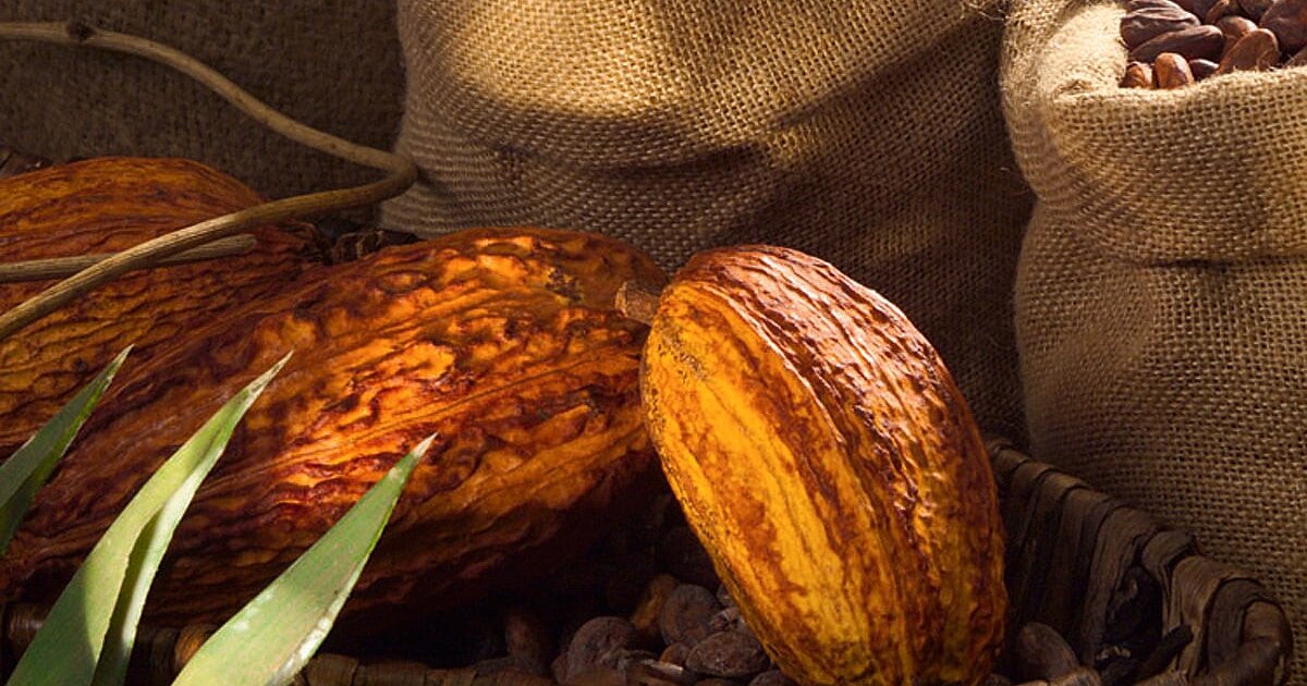 Schokoladenmuseum Köln: Blog